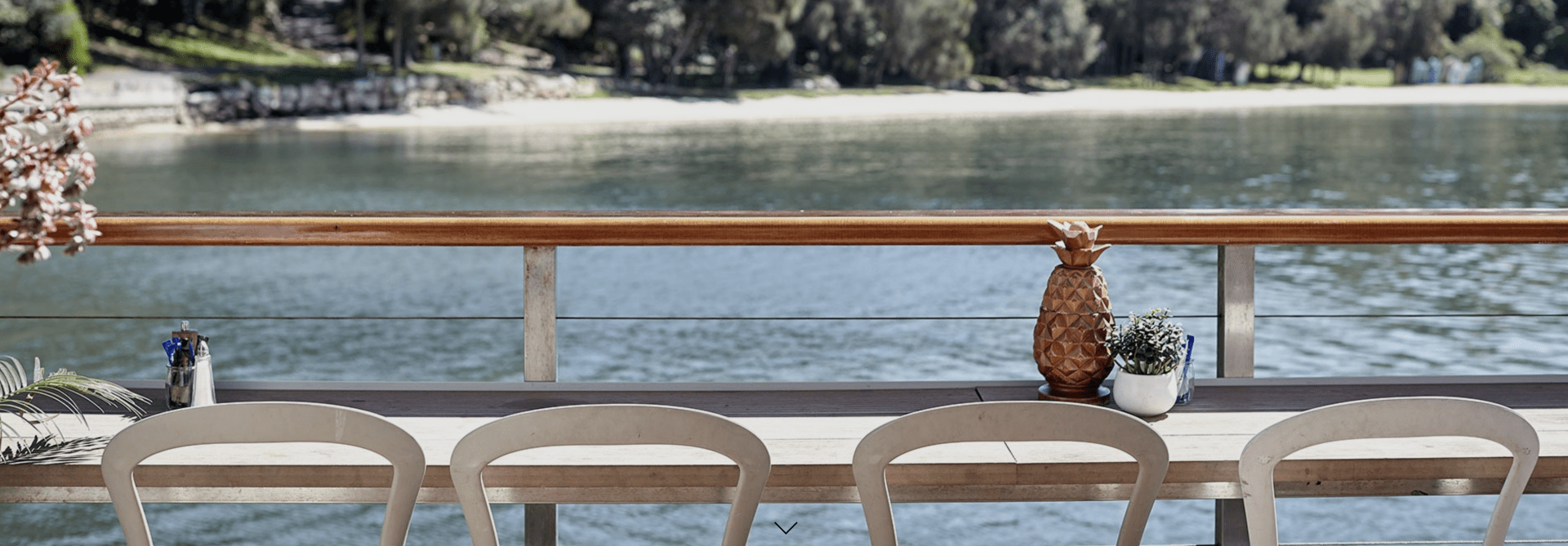 Waterside Dining Tips at Rose Bay | Pacific Boating